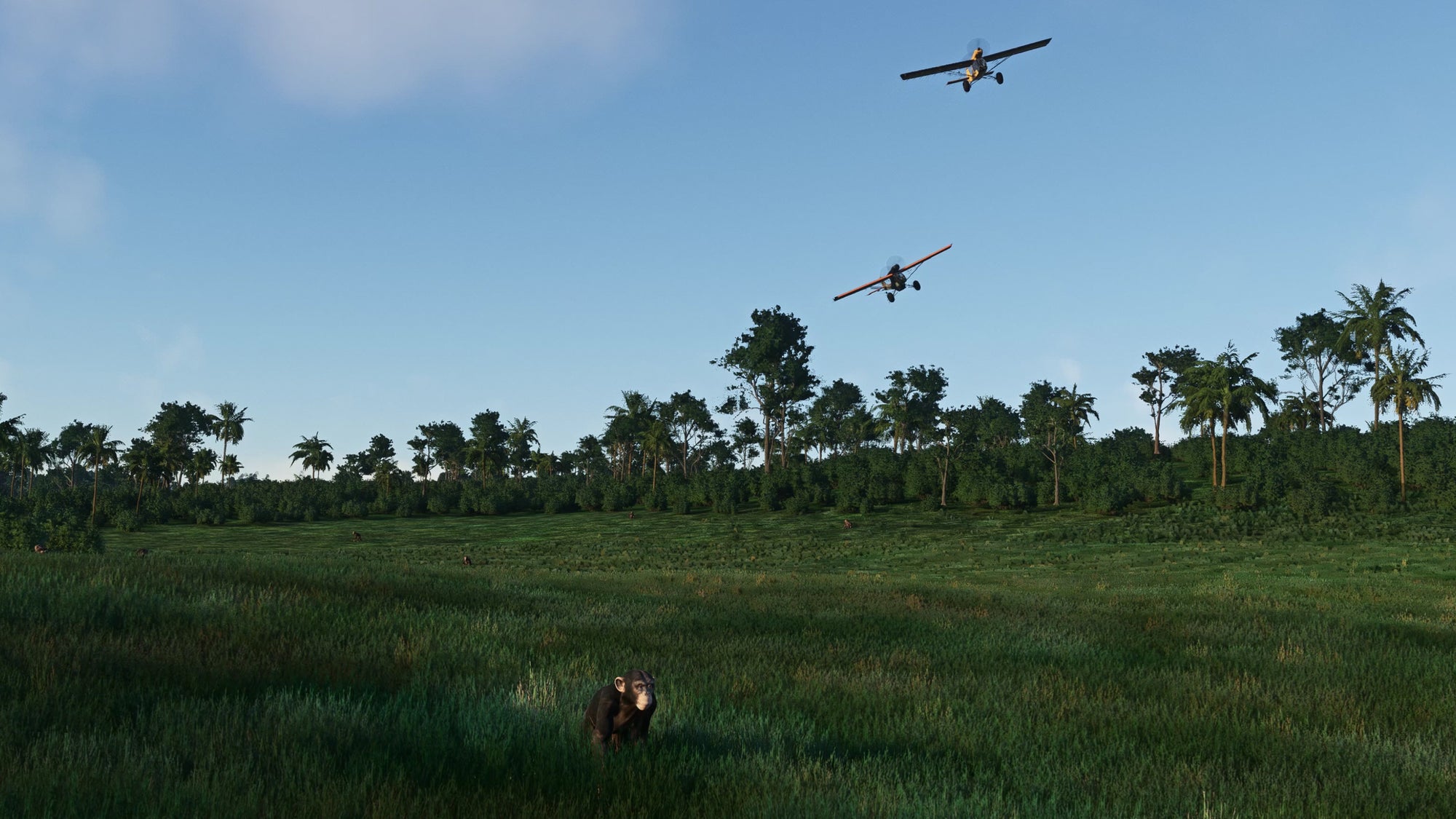 SoFly - Flight Simulator Guides, Weather, Airports and More